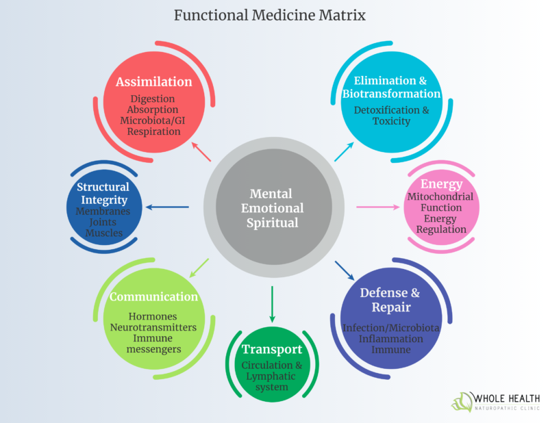 Functional Medicine - Wholehealth Naturopathic Clinic